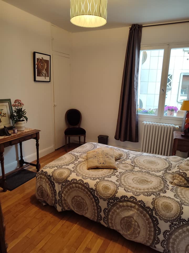 Chambre Dans Un Bel Appartement Hypercentre - Orléans
