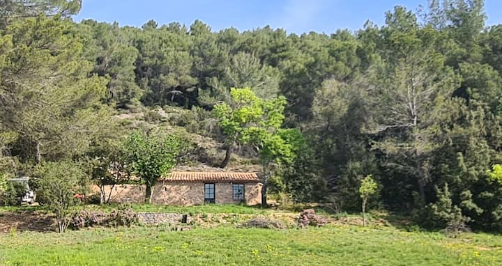 Cabanon Provençal - Salernes