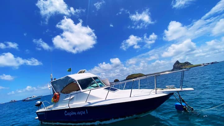 Lancha Privativa 27" Pés Período Manhã Em Noronha - Ilha de Fernando de Noronha