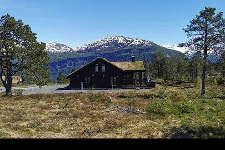 Høystandard Hytte - Norway