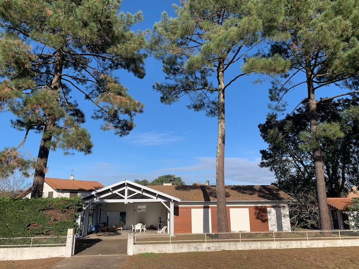 Villa Piscine Bord De Foret - Mimizan