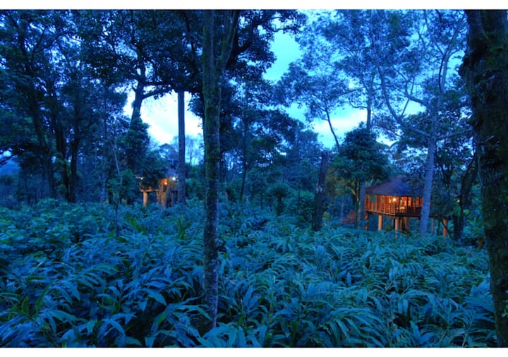 Carmelia Haven Tree House - Kattappana