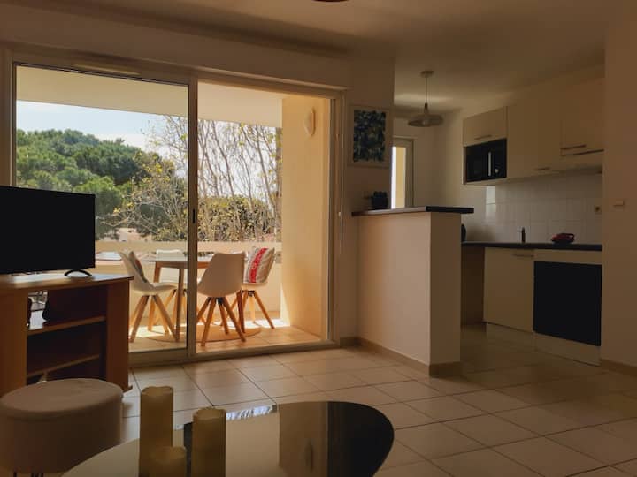 Appartement De Standing Les Palmiers Et Les Plages - Canet-en-Roussillon