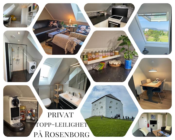 Splitter Ny Toppleilighet! Sentralt I Trondheim - Trondheim