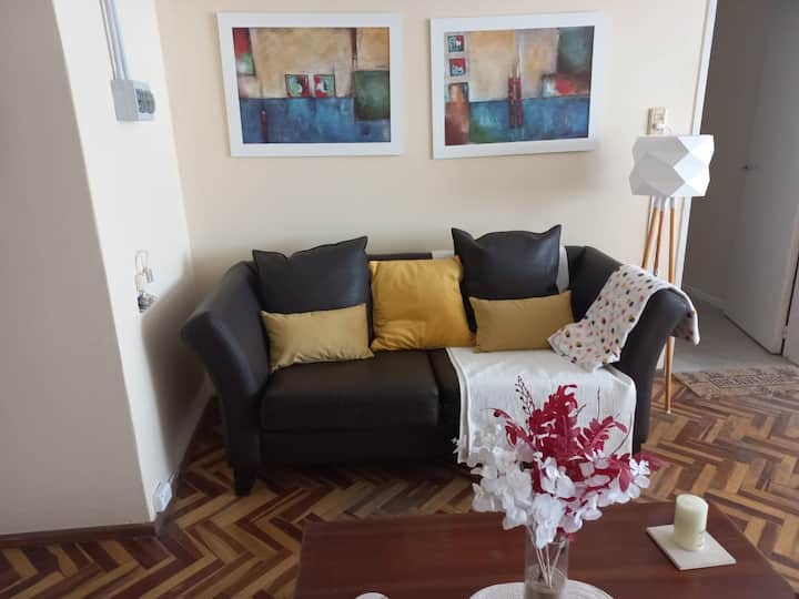 Fabuloso Necochea En Plena Ciudad De Mendoza - Mendoza