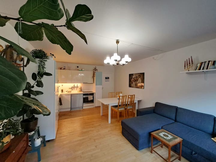 Hyggelig Lejlighed På Nørrebro - Copenhagen