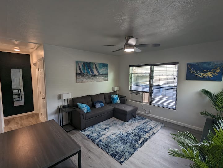 Cute And Cozy Modern Apartment - Clearwater, FL