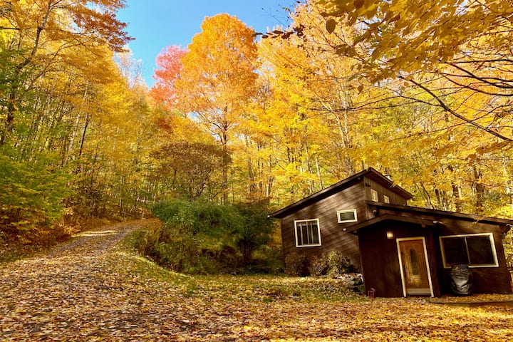 Chic Cabin W/hot Tub On Private 5-acres - Fleischmanns, NY