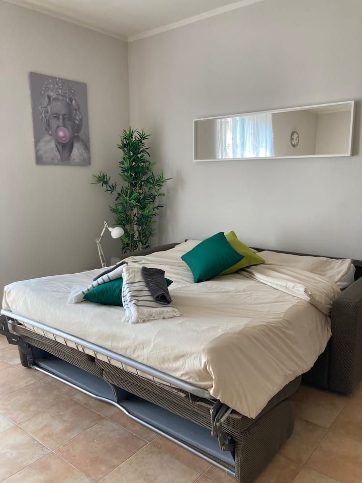 Pinetamare 36 - Viareggio