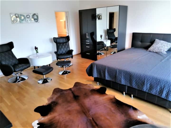 Herrliches Apartm. Mit Balkon - Heidelberg