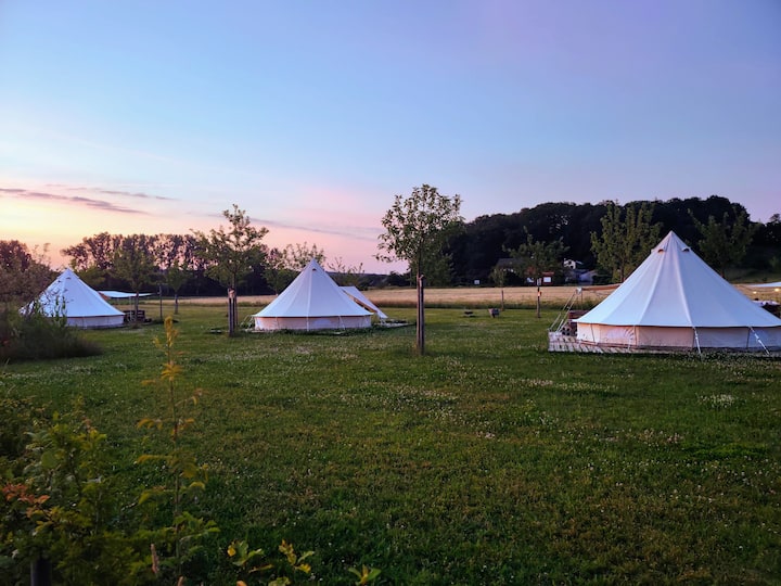 Glamping Tent Kordia - Aarschot