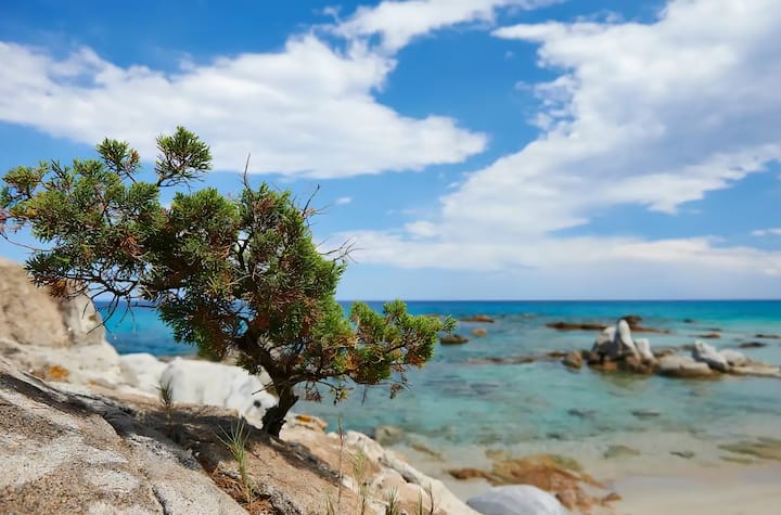 Casa Vacanza Porto Frailis - Tortolì