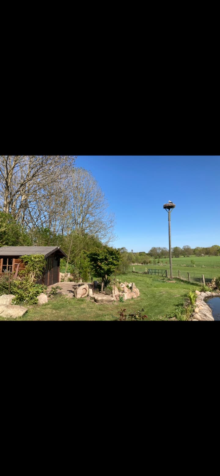 Woa, Festival, Wacken Open Air - Wacken