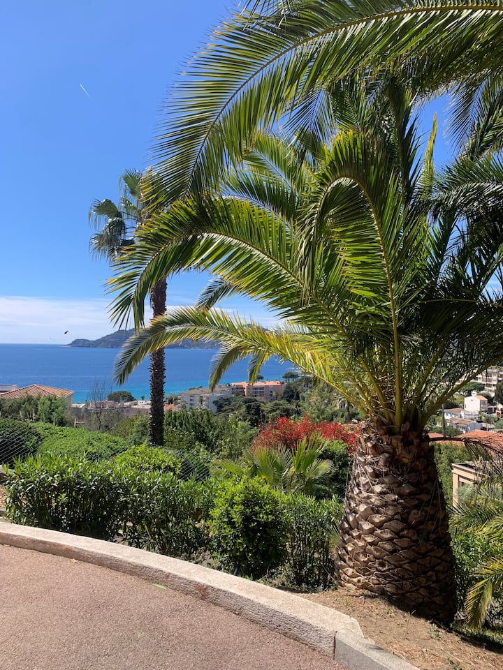 Superbe Appartement Sur Cannes Avec Vue Mer ! - Cannes