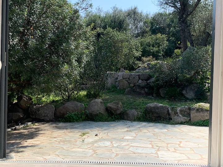 Porto-vecchio / Bergerie - Palombaggia