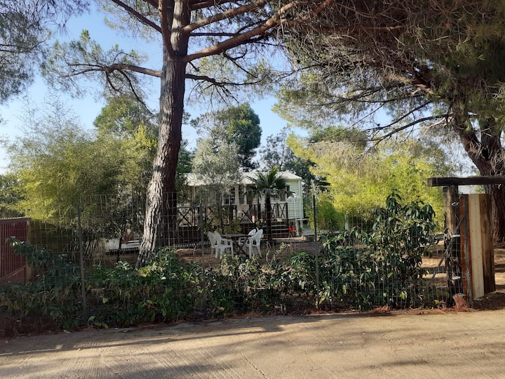 Chalet: Très Confortable Pour Des Super Vacance - Borgo