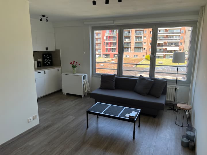 Entire Apartment In City Center Leuven - Leuven