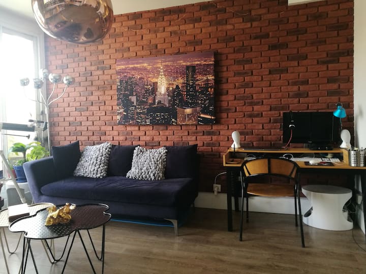 Appartement + Balcon 2 Personnes - Issy-les-Moulineaux
