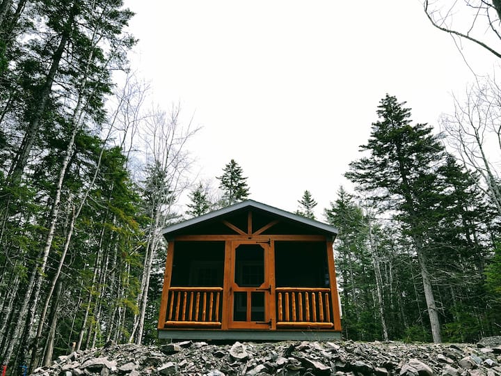 Cabin In The Woods: Sleepy Deer - Bar Harbor, ME