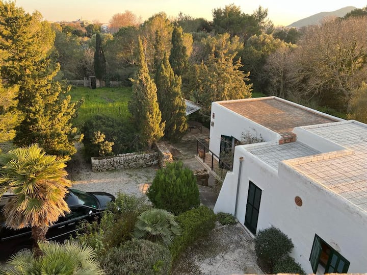 Auténtico Molino Auténtico Con Piscina Y Jardin - Alcúdia