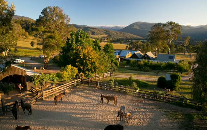 Group Accommodation Horse Farm - Mount Beauty
