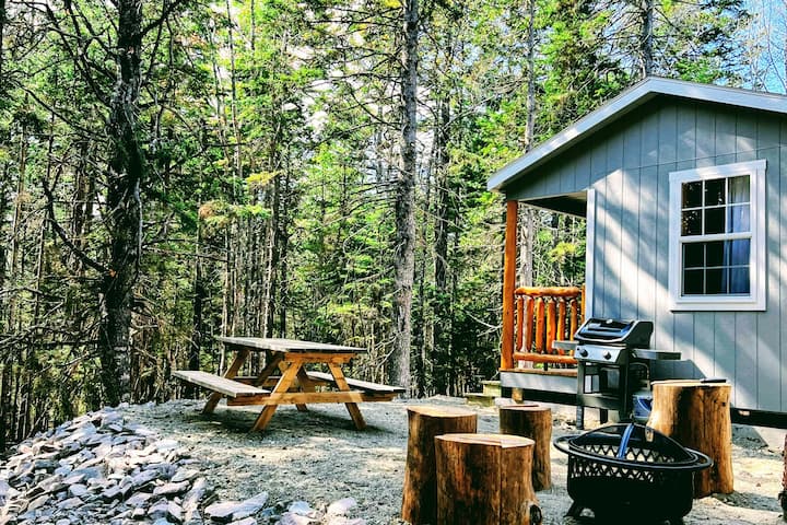 Cabin In The Woods: Magic Moose - Maine