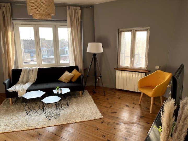 Appart 6pers Centre Valenciennes - Denain