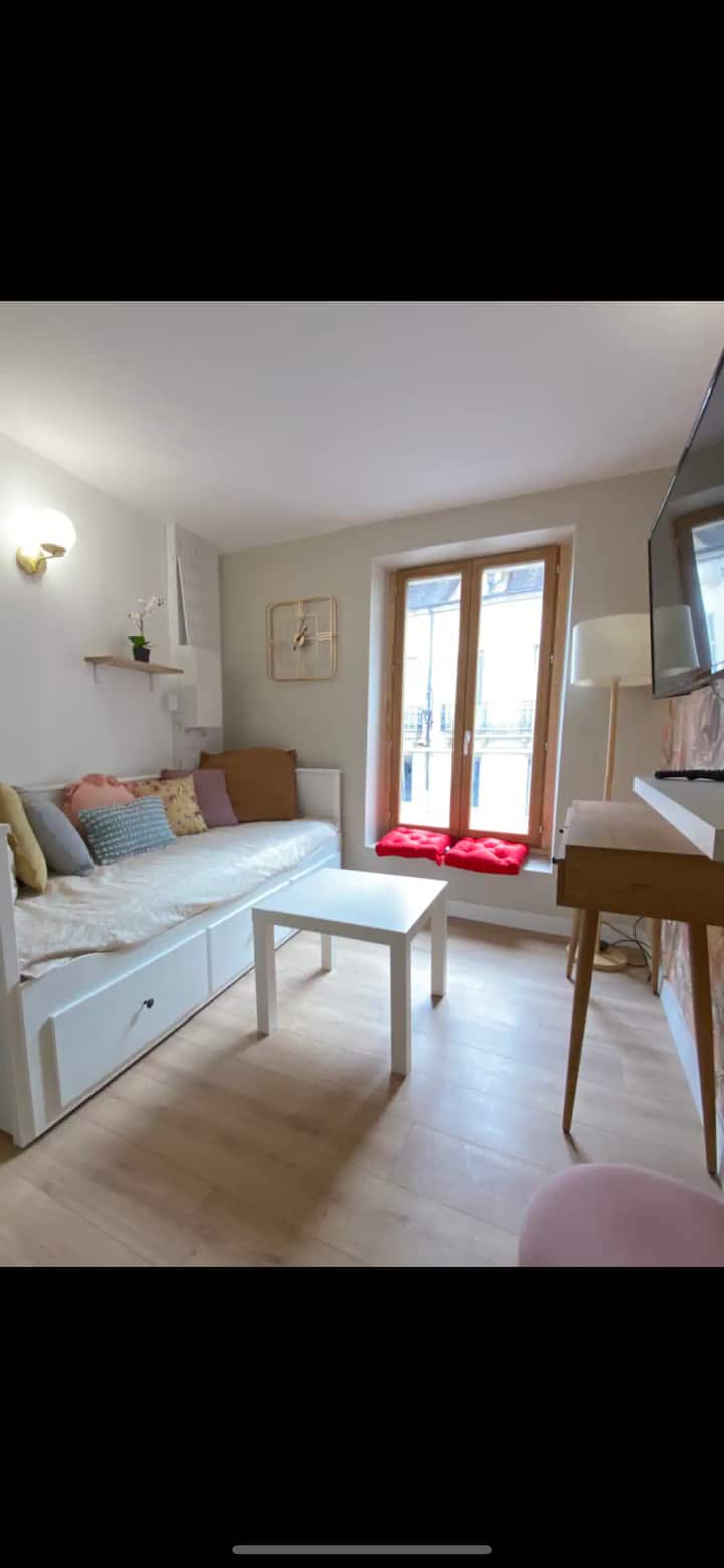 Studio Place Wilson - Dijon
