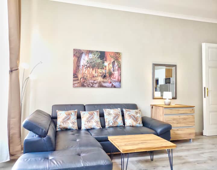 Karlsbad Family Apartment - Karlovy Vary