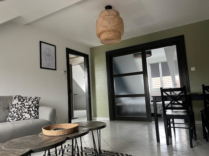 Spacieux T3 Rénové De 60m2 Proche Centre Colmar - Colmar