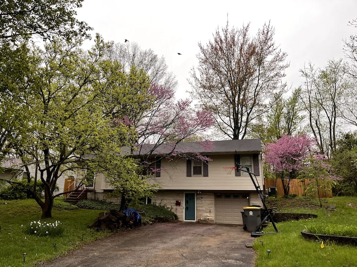 Private 1 Bedroom 1 Bath Studio Apartment. - Bloomington, IN