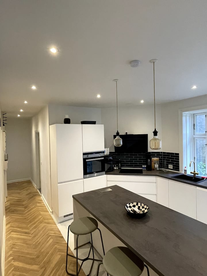 Ny Stor Lejlighed På Nørrebro - Copenhague
