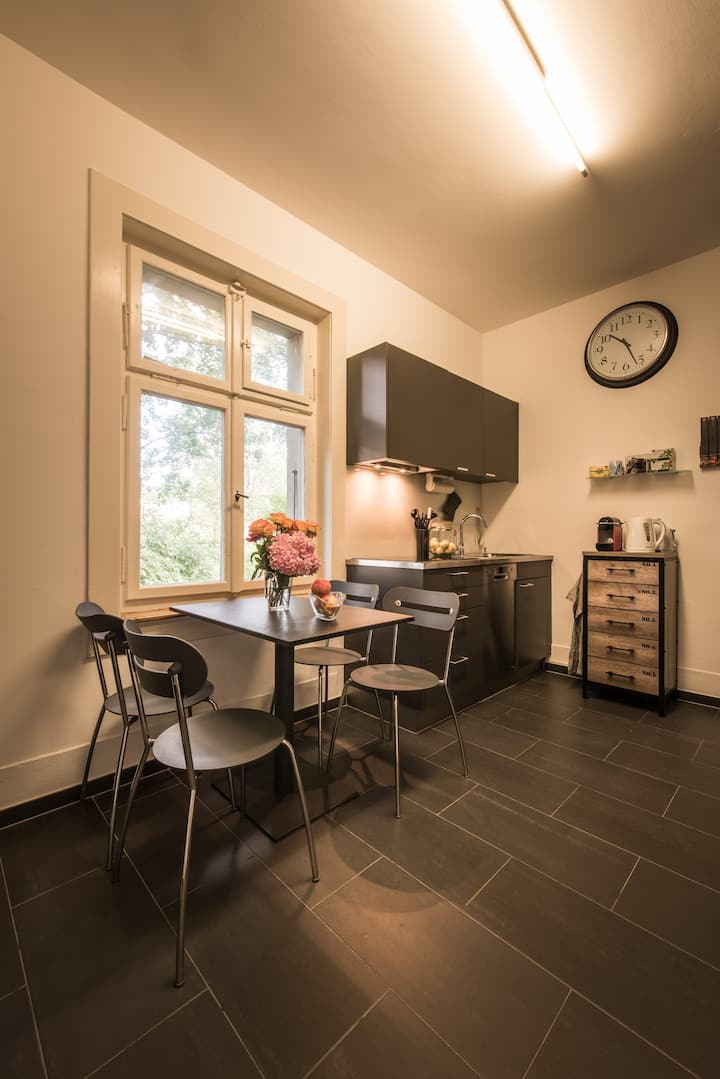 Deluxe Suite With 2 Rooms - Max Aviation Villa - Bern