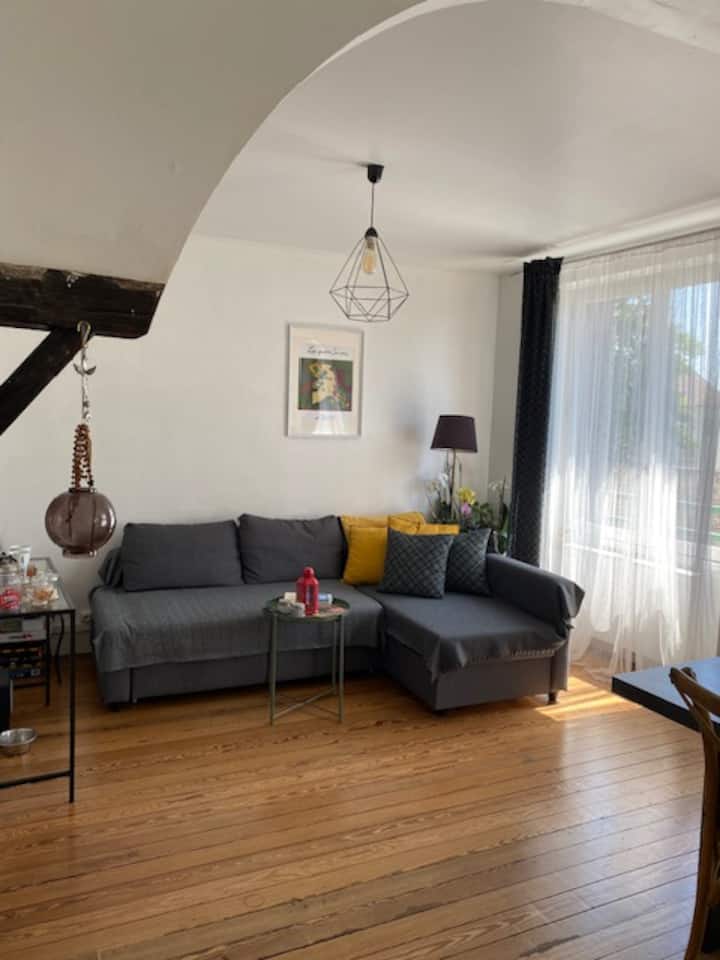 Maison Avec Jardin - Survilliers