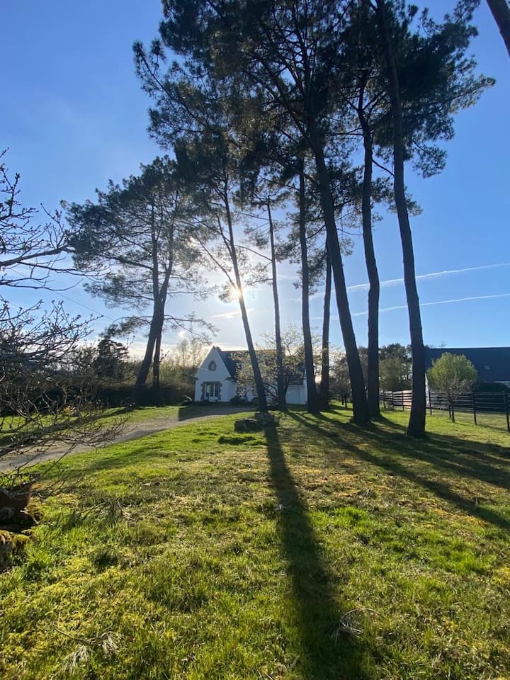 Grande Maison Familiale 20mn Des Plages - Morbihan