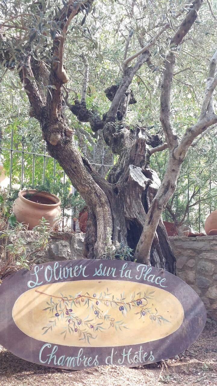 L'olivier Sur La Place - Banon