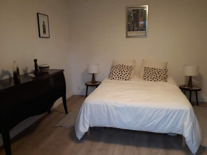 Chambre 16 M2 Proche Centre Historique De Tours - Tours