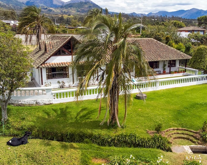 La Giralda De Santa Rosa - Cotacachi