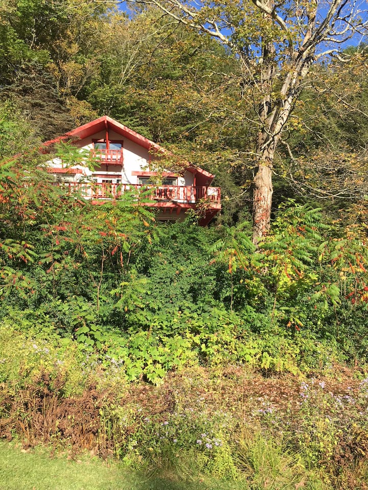 Alpine Four Season Lodge, Shandaken Ny, Sleeps 18 - Phoenicia, NY