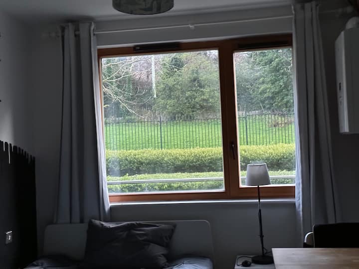 Spacious Room With Relaxing View - Dun Laoghaire