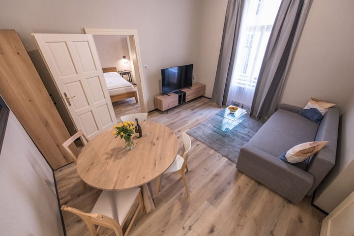 Relaxed And Spacious Flat In The Middle Of Prague - Praga