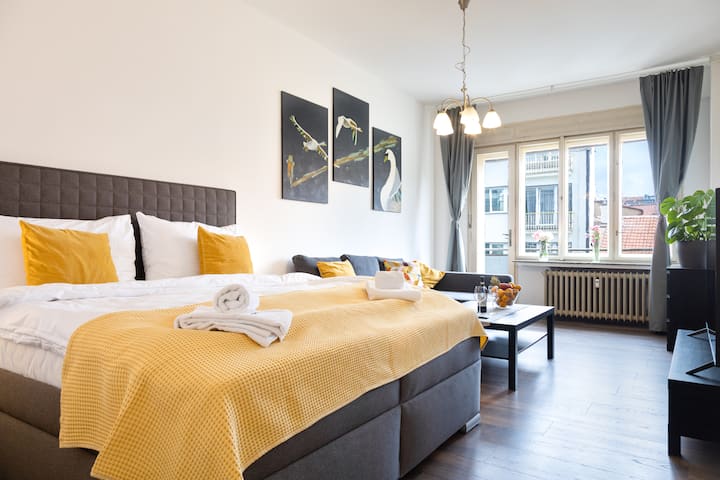 3br + 1.5bath Amazing Beds Apartment + Balcony - Prag