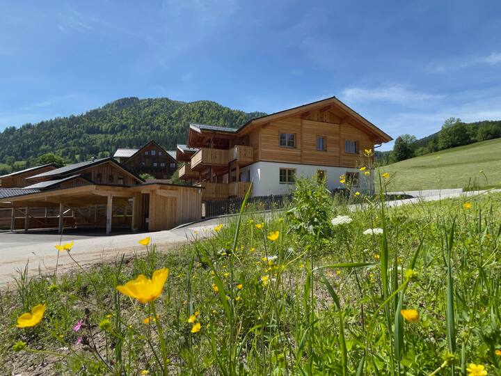 Dachstein West Apartments Top 1a - Gosau