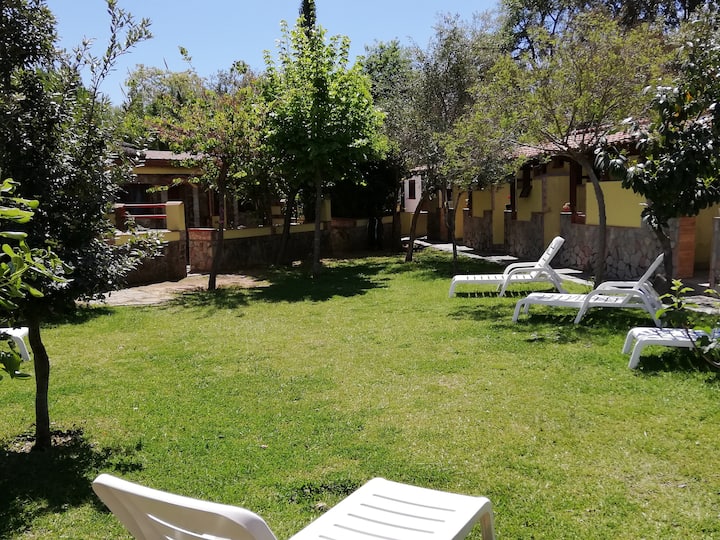 Bed&breakfast 900 Metri Dal Mare Palinuro - Palinuro