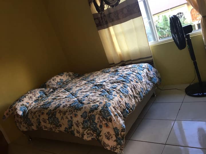Brittz Villa - Port Antonio