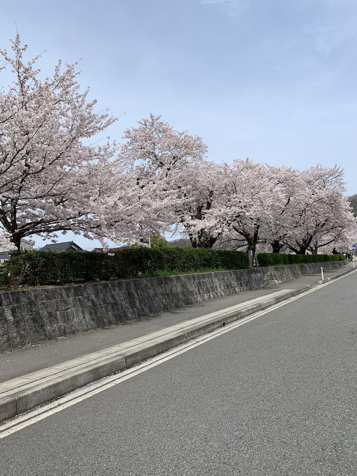 杉の香りに癒される空間での一棟貸しのゲストハウスです。ウェルカムスイーツを準備してお待ちしています。 - Tottori, Japan