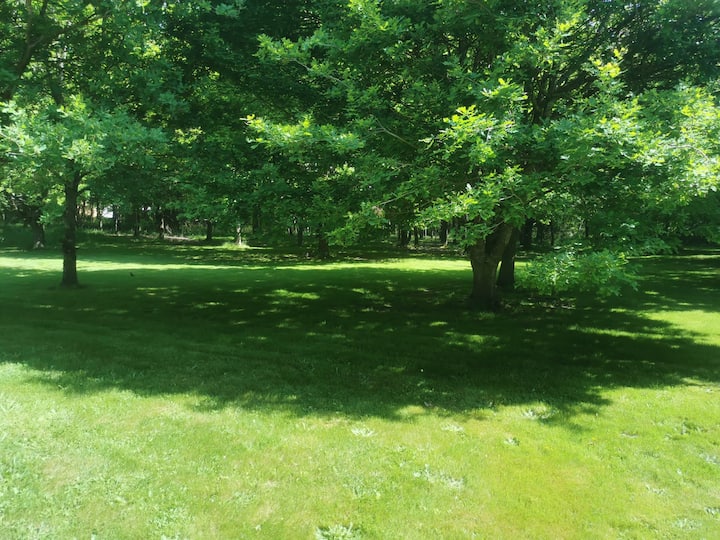 Maison Complète à Louer - 5 Lits - Proche Circuit - Le Mans