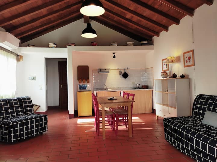 Monolocale Con Balcone Tra Toscana E Cinque Terre - Sarzana