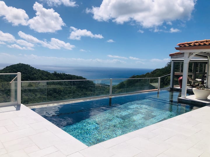 Very Beautiful Luxury Villa - Martinique