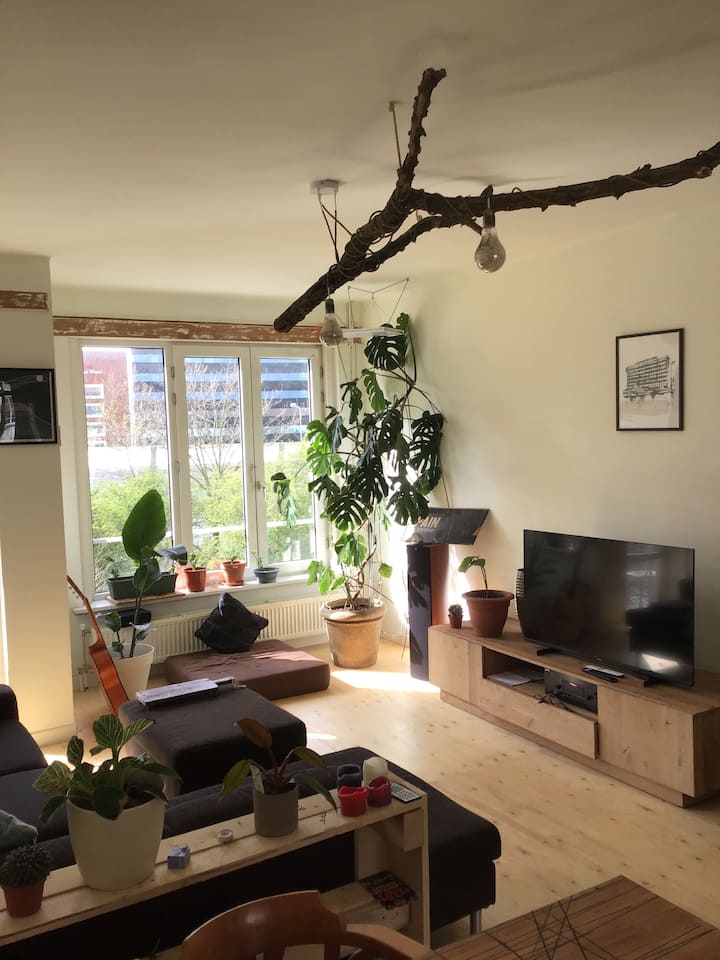 The Sunniest “Oasis” In Amsterdam - Zaandam